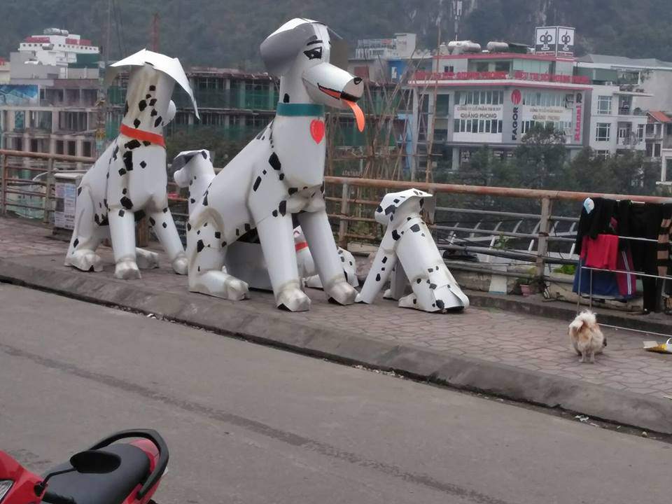 Pikalong, Pika - Gâu chưa là gì, đây mới là những chú Tuất chất chơi ...