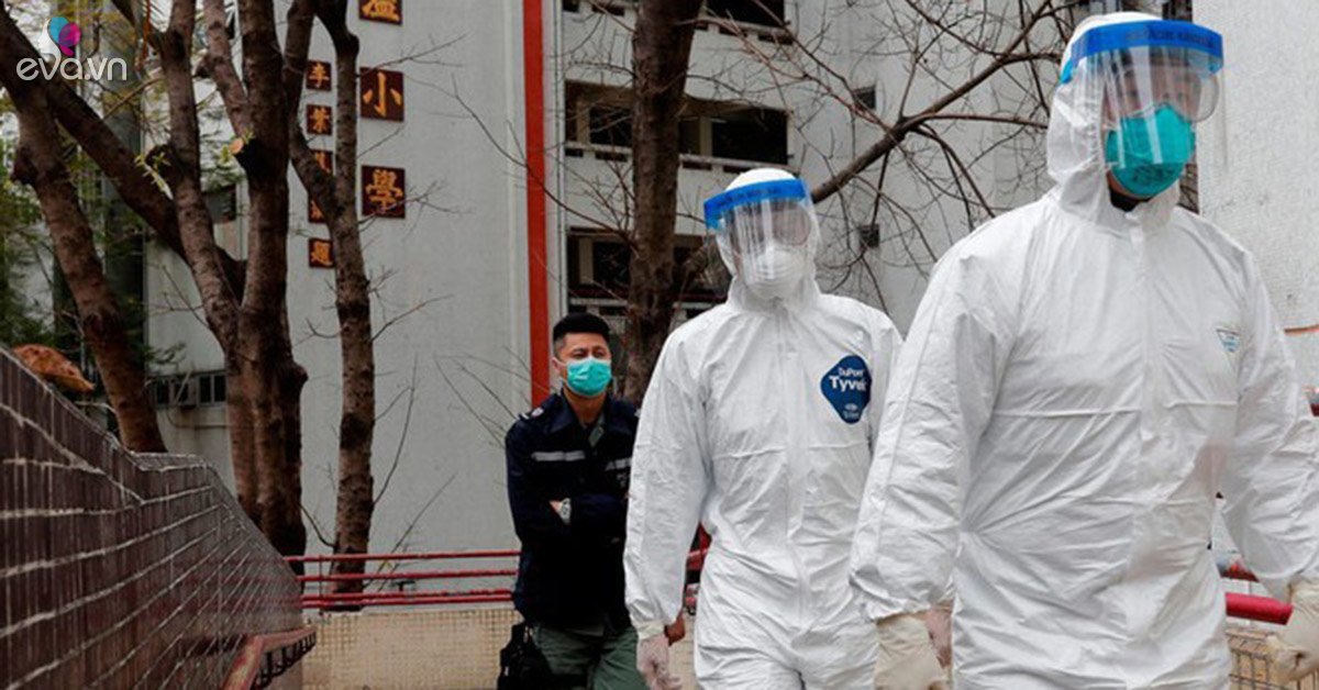 Hồng Kông: Tìm thấy virus SARS-CoV-2 trong đường ống chung cư