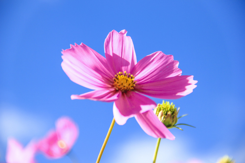 Người thực sự có tầm nhìn xa luôn biết nắm trong tay 3 con át chủ bài này