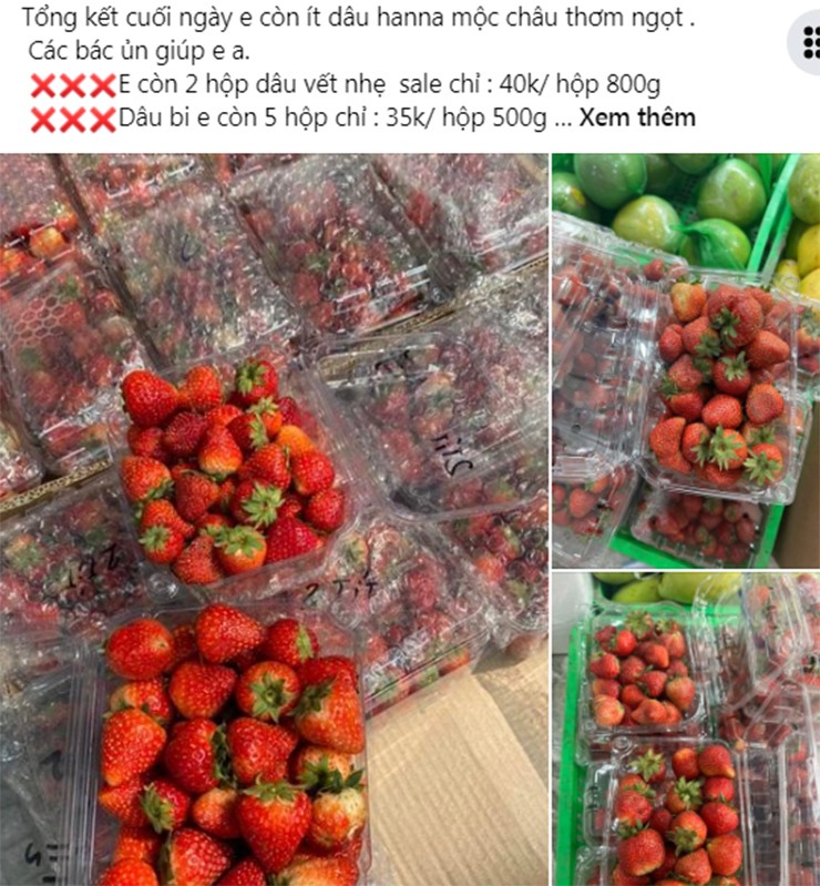 Dâu tây ồ ạt xuống phố giá rẻ chưa từng có, chỉ từ vài chục nghìn/kg: 4 ...