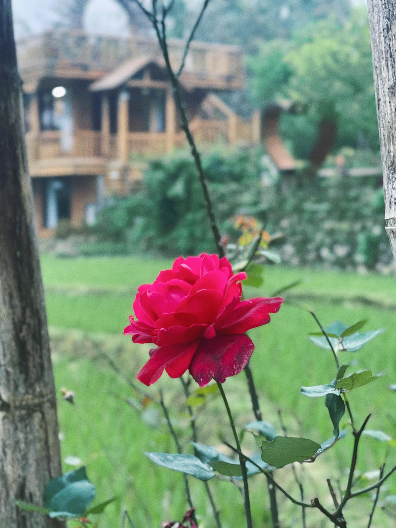 Pù Luông và chuyến đi không chuẩn bị trước của cô gái thích tìm về ...