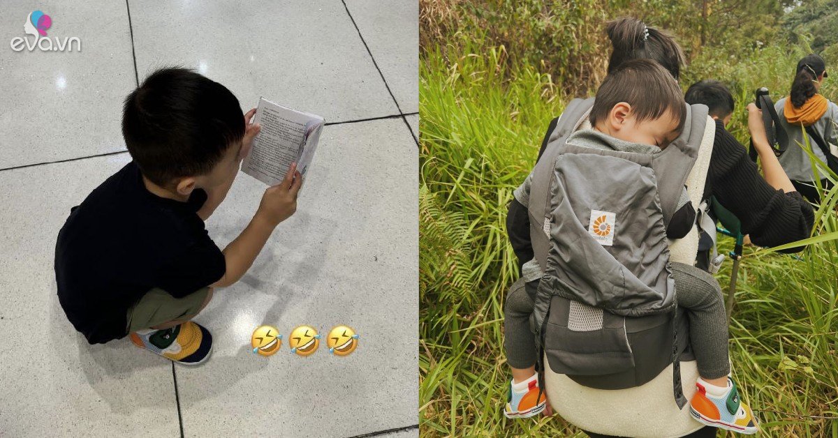 Cậu út nhà Tăng Thanh Hà 2 tuổi đã mê đọc sách bất chấp địa điểm, bị mẹ ...