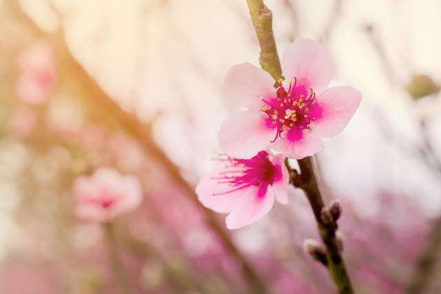 Khi trái tim rộng lượng, con đường phía trước ắt rộng mở hơn!