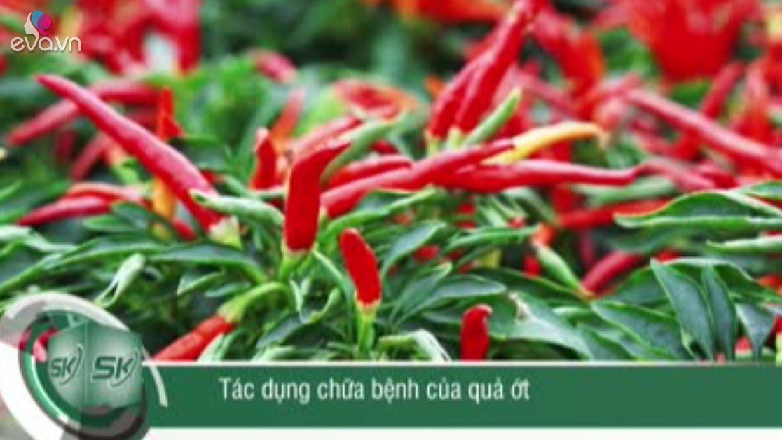 Tác dụng chữa bệnh của quả ớt
