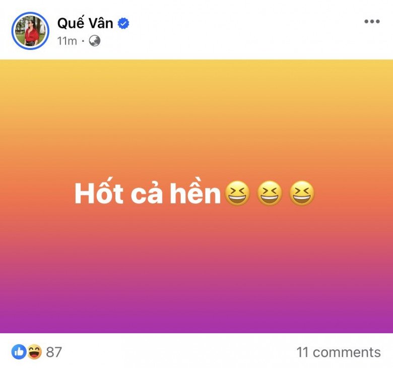 Sao Việt đồng loạt hú hồn vì Facebook lỗi: BTV Hoài Anh ngưng thở, vợ ...