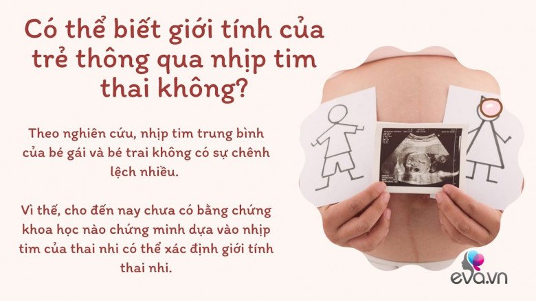 Nhịp tim thai của bé trong bụng mẹ tiết lộ điều gì?