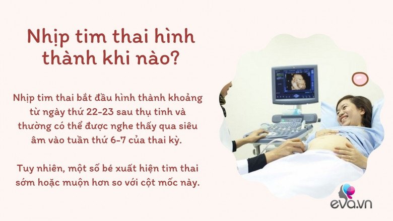 Nhịp tim thai của bé trong bụng mẹ tiết lộ điều gì?