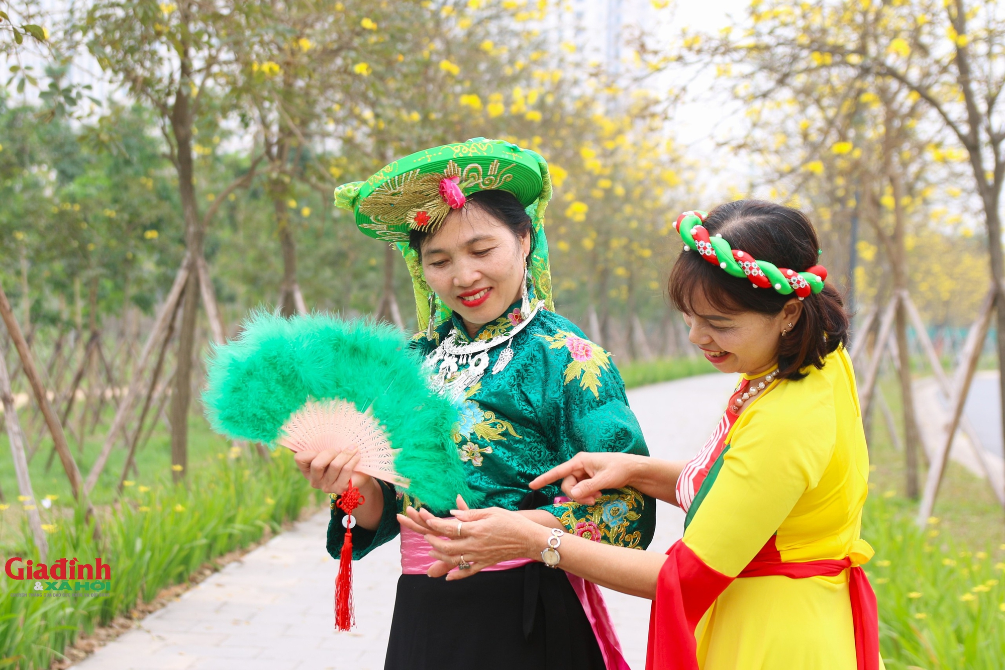 Chị em phát sốt với con đường hoa Phong Linh vàng rực ở Hà Nội