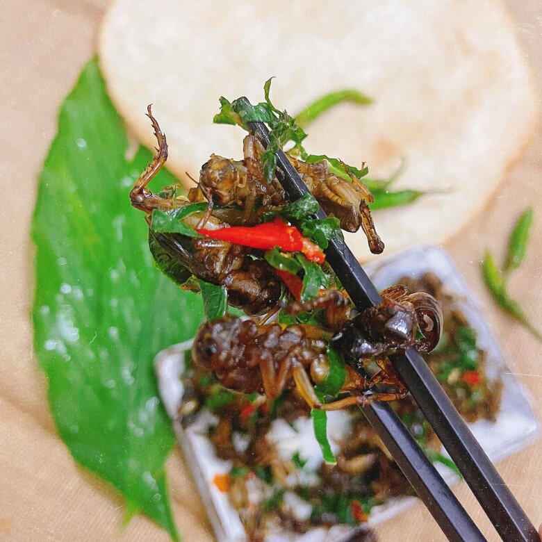 Đặc sản chui lên từ lòng đất, xưa không ai biết đến nay thành món khoái ...