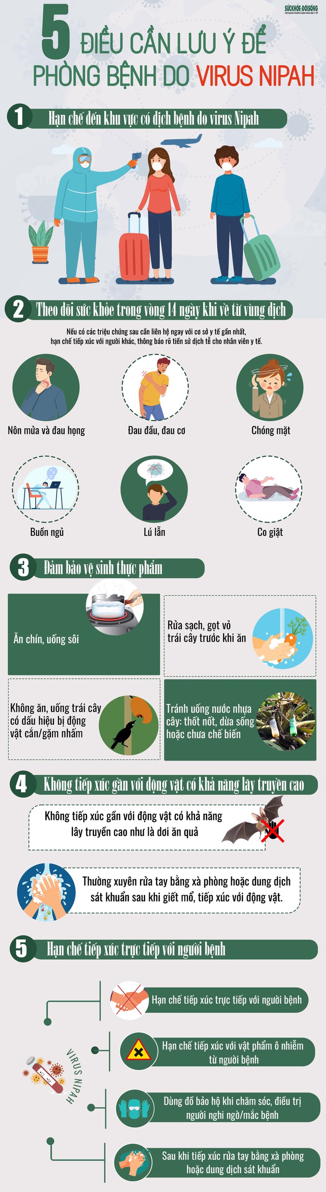 [Infographic] - 5 điều cần lưu ý để phòng bệnh do virus Nipah