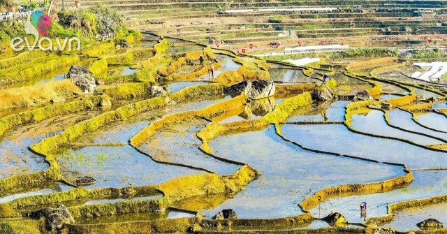 Vẻ đẹp ruộng bậc thang Pù Luông mùa nước đổ
