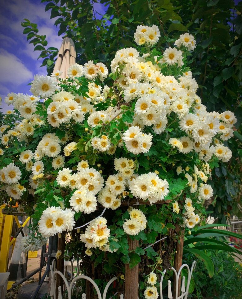 Cách lau dọn bàn thờ Thần tài cuối năm đắc tài đắc lộc