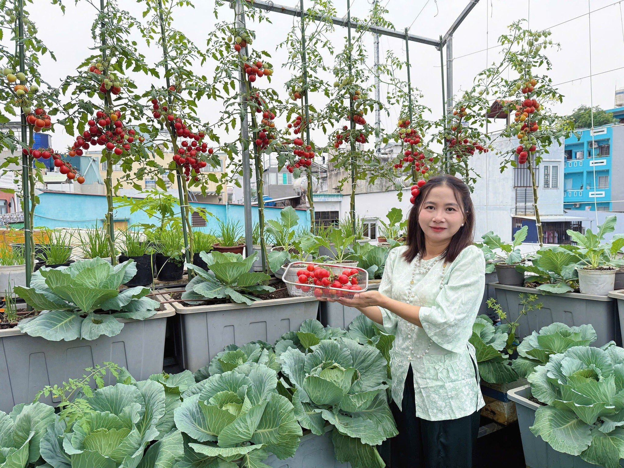 Mẹ đảm TP.HCM chi 30 triệu làm vườn, 4 giờ sáng mỗi ngày lên sân thượng ...