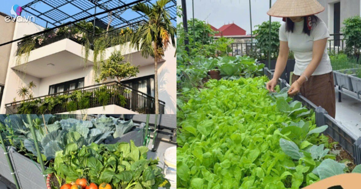 Mẹ đảm Bắc Ninh biến ngôi nhà thành tổ ấm phủ đầy hoa lá, khu vườn sân ...
