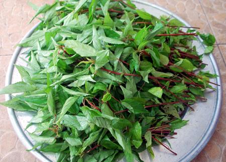 Rau đay lợi sữa lắm chị em ạ!