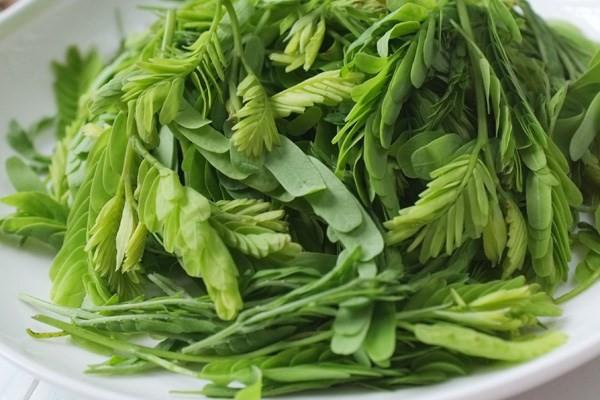 Bài thuốc tắm nước lá me trị long đờm, cảm cúm cho trẻ