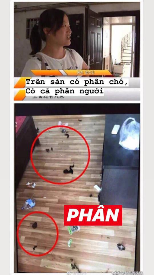Chủ suýt ngất khi khách trọ trả phòng: Bên trong vương vãi phân, cả xác ...