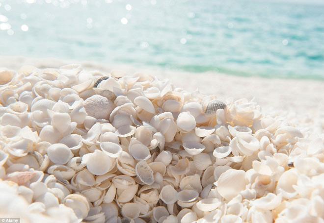 Shell Beach – Bãi biển trắng tinh nhưng không có cát ở Úc