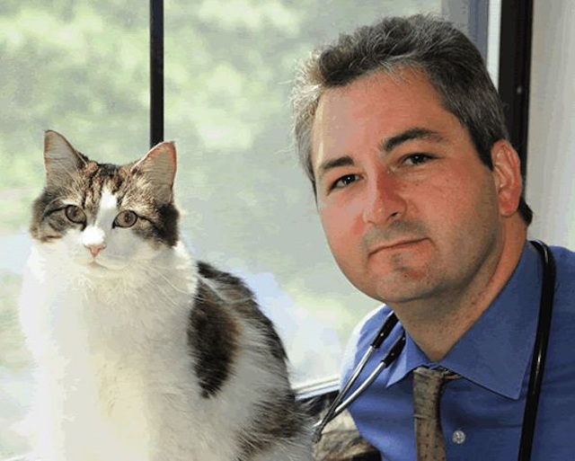 Oscar: Chú mèo có khả năng dự đoán cái chết, cứ nằm gần ai người đó sẽ ...