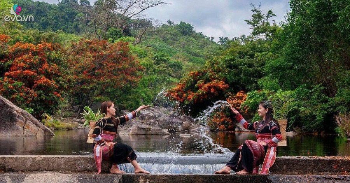 Hoa trang rừng nở rộ sau nhiều năm, suối Tà Má trở thành điểm check-in ...