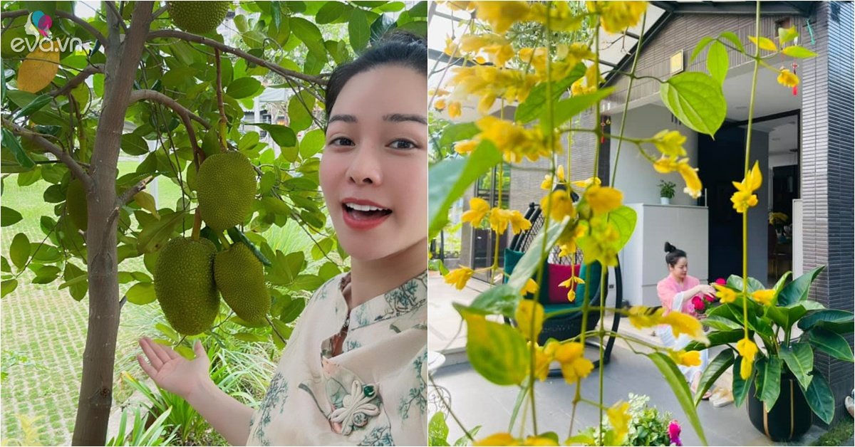 Biệt thự 20 tỷ của Nhật Kim Anh cây trái sum suê, mẹ một con khoe trồng ...