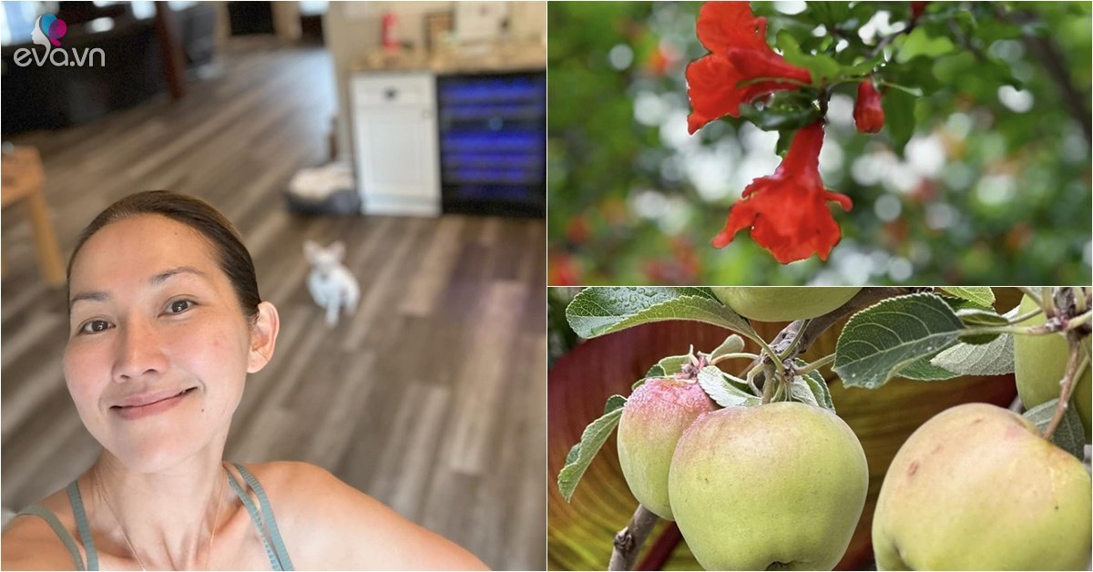 Sống an yên ở Mỹ trong ngôi nhà mơ ước, Kim Hiền khoe khu vườn phủ ...
