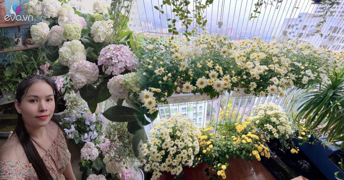 Mẹ đảm Hà Nội biến ban công 4m2 thành nơi trồng hoa nuôi cá, mỗi mùa một màu hoa khác nhau