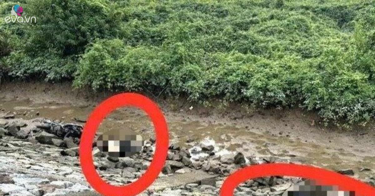 Vụ phát hiện 2 thi thể nam thanh niên dưới bờ đê: Hiện trường có gì?