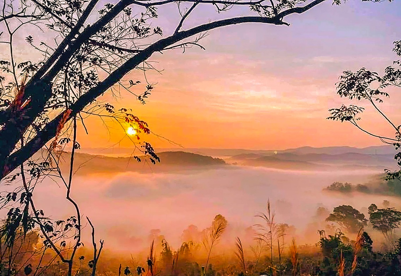 Du khách lạc trôi giữa biển mây trên cung đường đèo Violak - Măng Đen