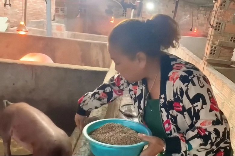 Siu Black sau ồn ào nợ nần: Về quê nuôi heo hơn 10 năm chưa trả hết nợ ...