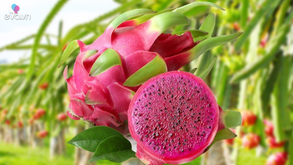 6 loại quả Việt Nam mùa nào cũng có, rất giàu vitamin, ăn giúp hạ đường ...