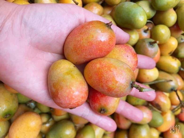 Loại quả xưa rụng đầy không ai biết đến, giờ thành đặc sản có hương vị ...