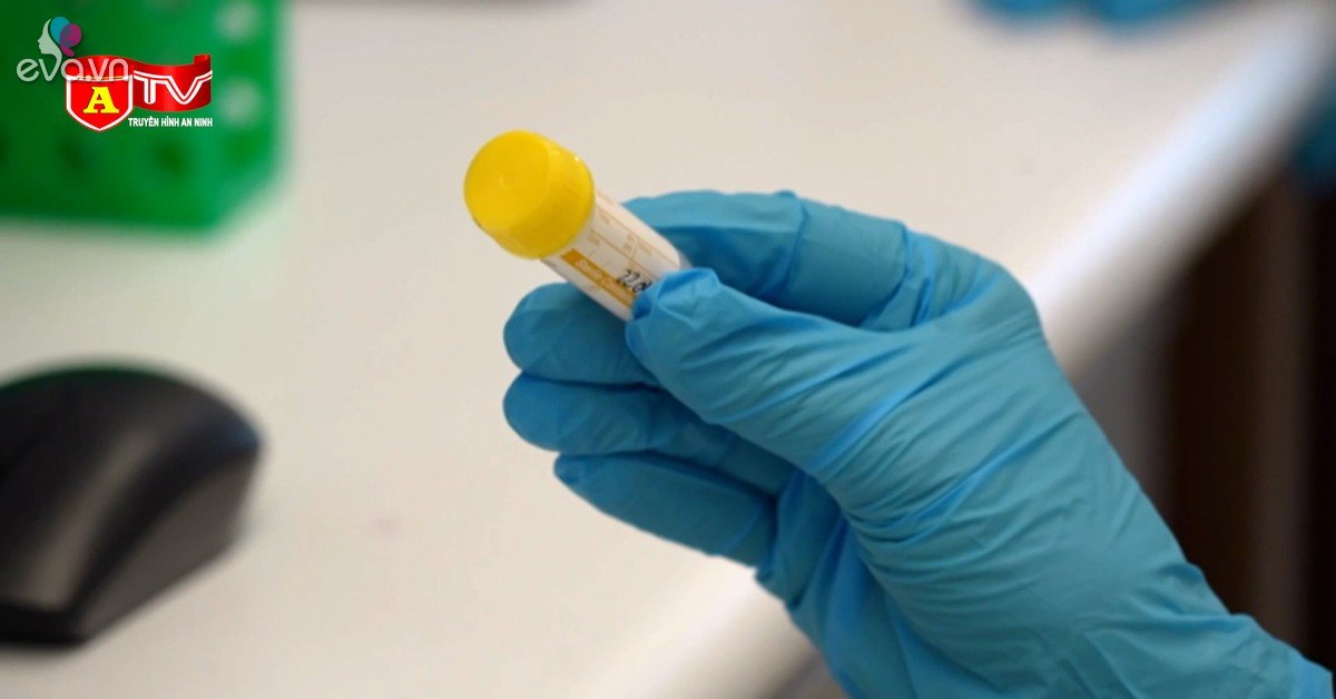 Thử nghiệm liệu pháp miễn dịch đầu tiên trên thế giới điều trị bệnh ...