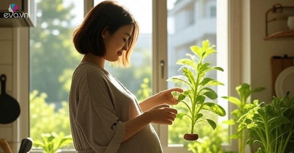 Mùa hè có 1 loại rau mẹ bầu nên ăn: Dân dã, rẻ tiền mà bổ gấp nhiều lần