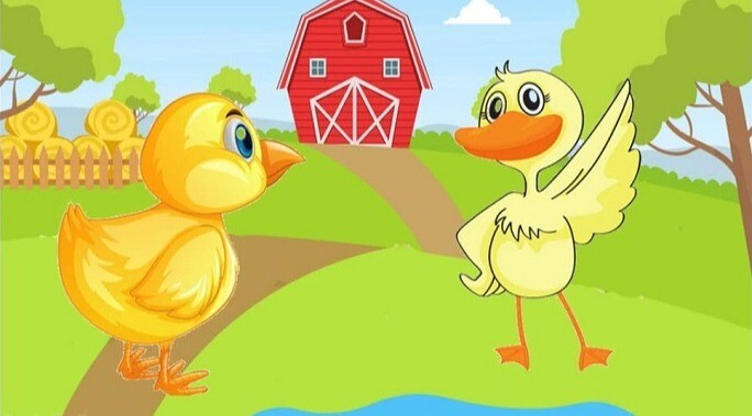 Truyện cổ tích: Chú vịt khàn