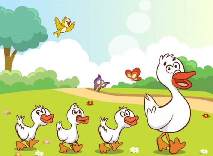 Truyện cổ tích: Chú vịt khàn