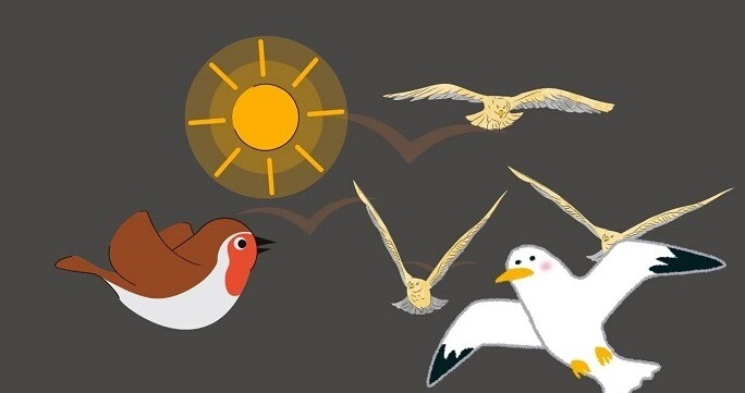 Truyện cổ tích: Sự tích loài Chim Lửa