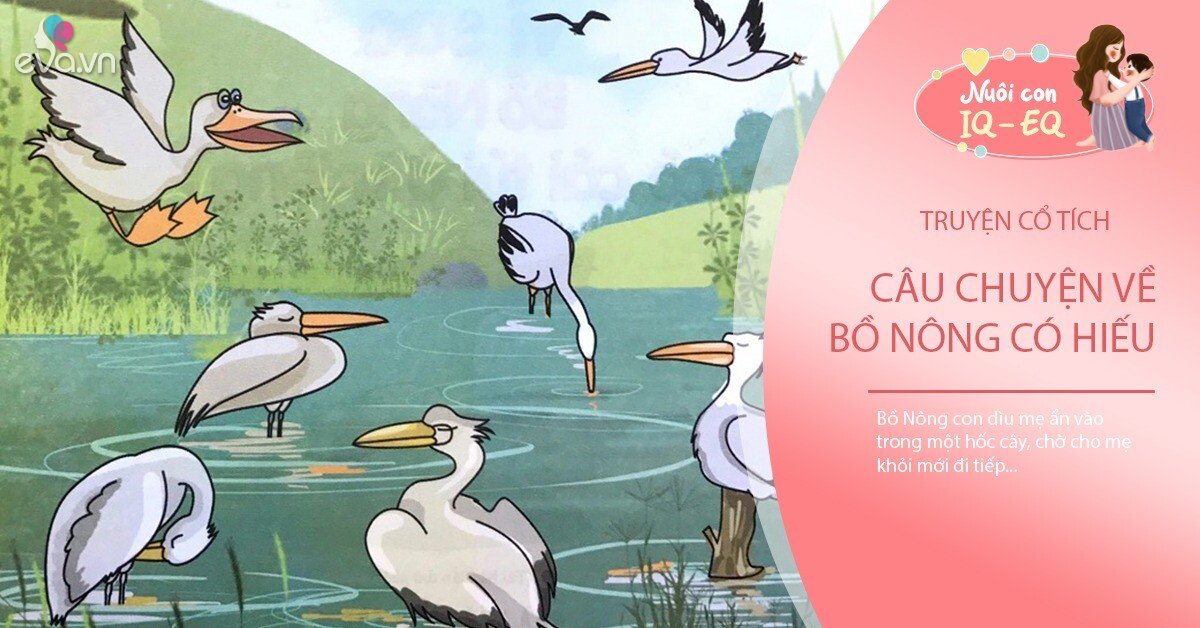 Truyện cổ tích: Bồ nông có hiếu