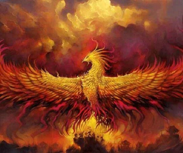 Truyện cổ tích: Sự tích loài Chim Lửa