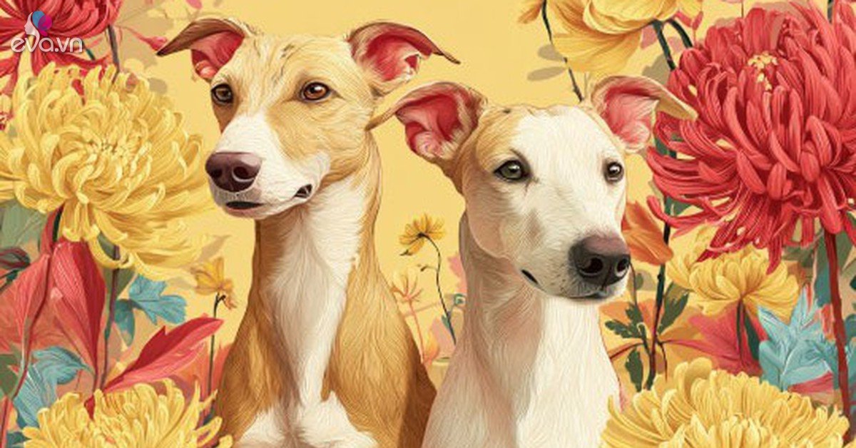Không đẹp xuất sắc nhưng có duyên ngầm: 3 con giáp nữ khiến đàn ông gặp ...