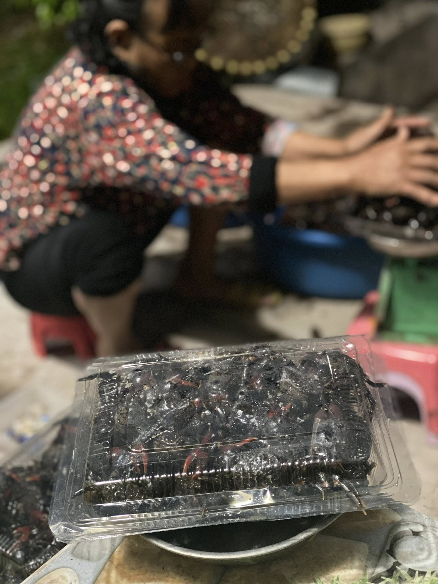 Đặc sản chui lên từ lòng đất ở Ninh Bình nấu canh ngon, vị ngọt như cua ...