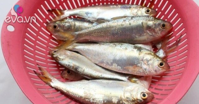 Loại cá bình dân nhưng omega-3 bằng nửa cá hồi, đem kho hay chiên đều ngon