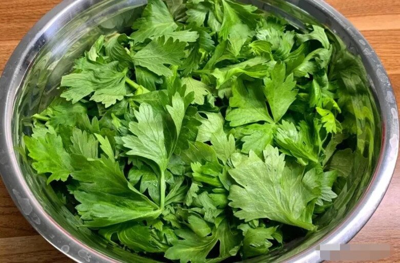 Ít ai biết lá này giàu dinh dưỡng hơn phần thân, đem xào với trứng vừa ...