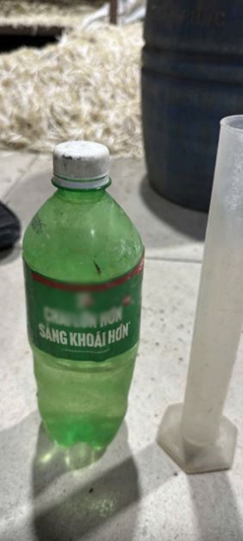 Hơn 1.000 tấn giá đỗ ngâm nước kẹo tuồn vào các chợ, quán ăn ở Bình ...