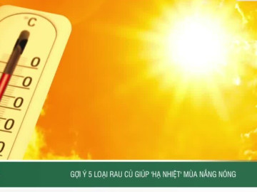 Gợi ý 5 loại rau củ giúp 'hạ nhiệt' mùa nắng nóng