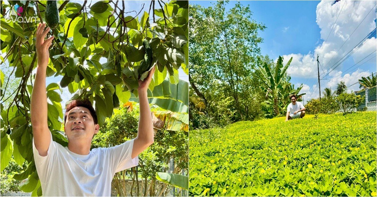 Choáng ngợp khu vườn đại gia rộng 3.000m2 ngập tràn quả ngọt tại miền ...
