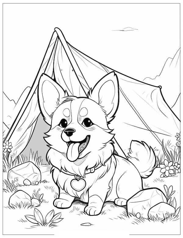Bộ tranh tô màu chú chó Corgi siêu dễ thương, bé vừa nhìn là muốn tô ngay