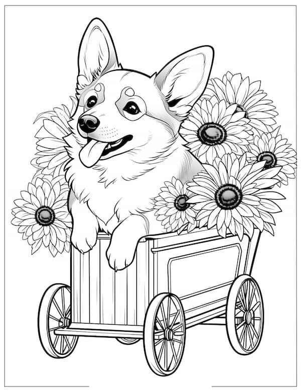 Bộ tranh tô màu chú chó Corgi siêu dễ thương, bé vừa nhìn là muốn tô ngay