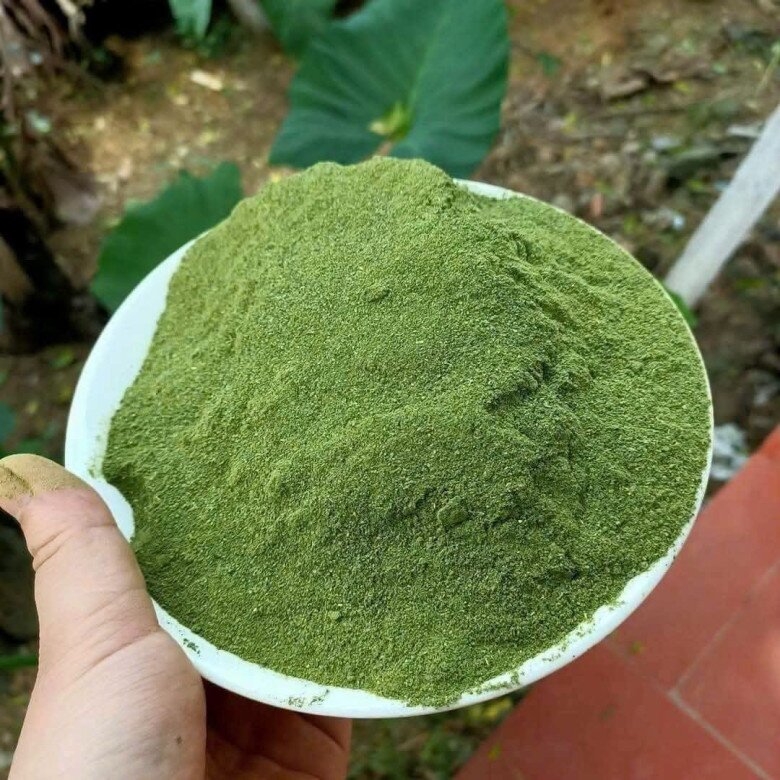 Cây dại mọc bờ rào nay thành đặc sản được ưa chuộng ở thành phố, trồng ...