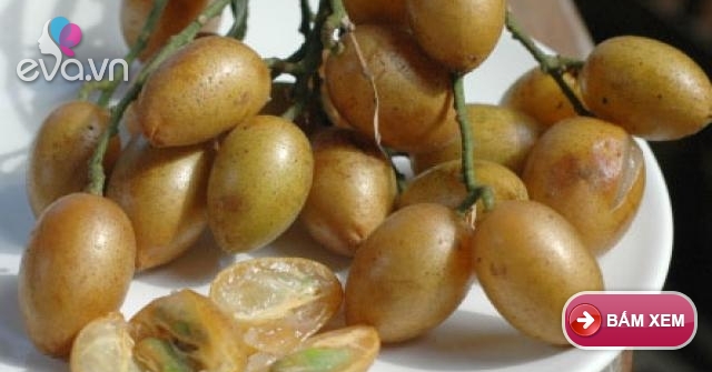 Tác dụng vàng của quả quất hồng bì không phải ai cũng biết